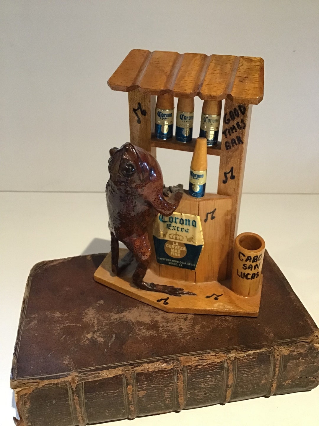 Vintage Taxidermy Mexico Cane Toad Cabo San Lucas Bar Etsy