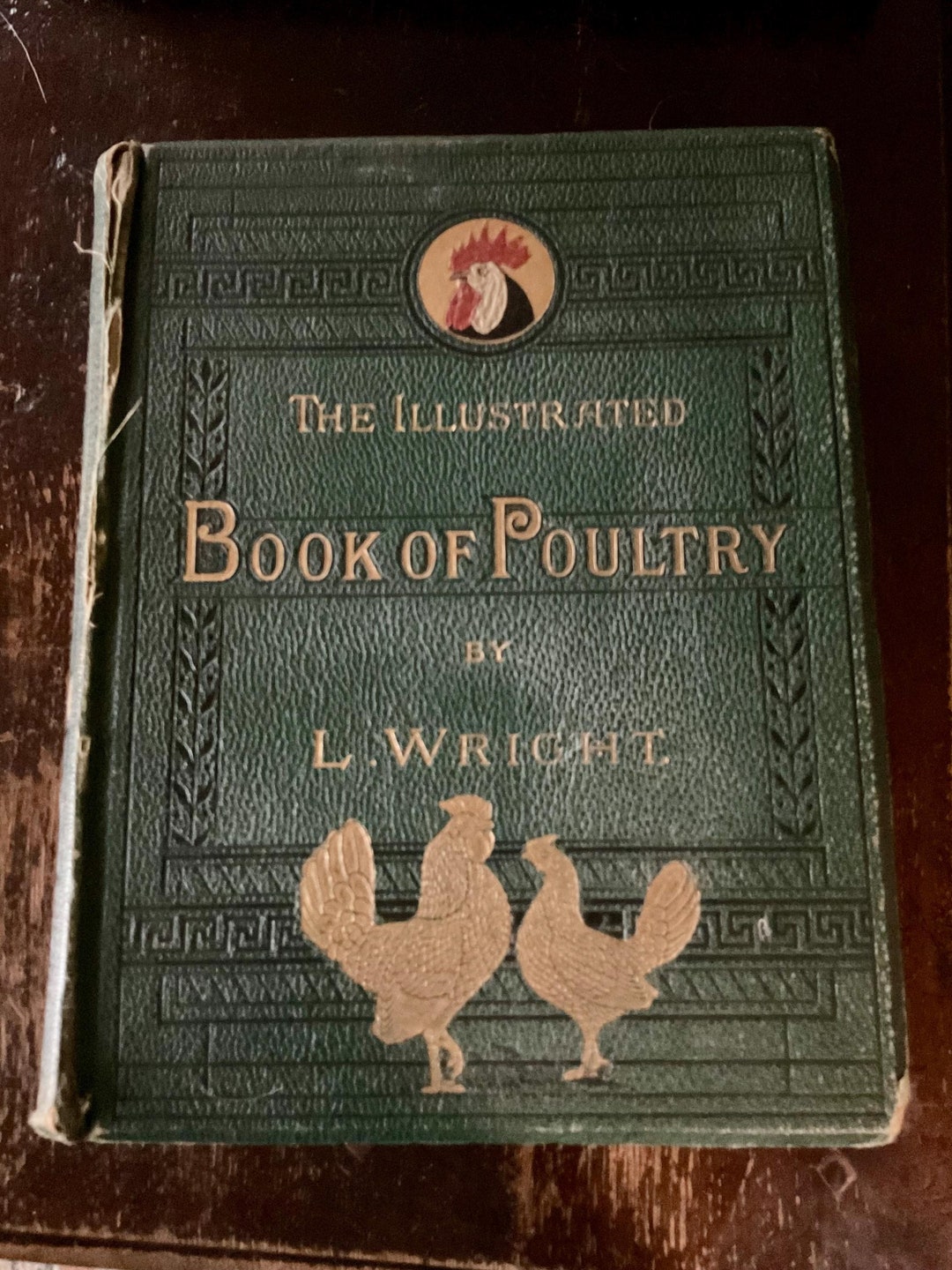 The Illustrated Book of Poultry Lewis Wright 1870 Judging Standards 50 ...