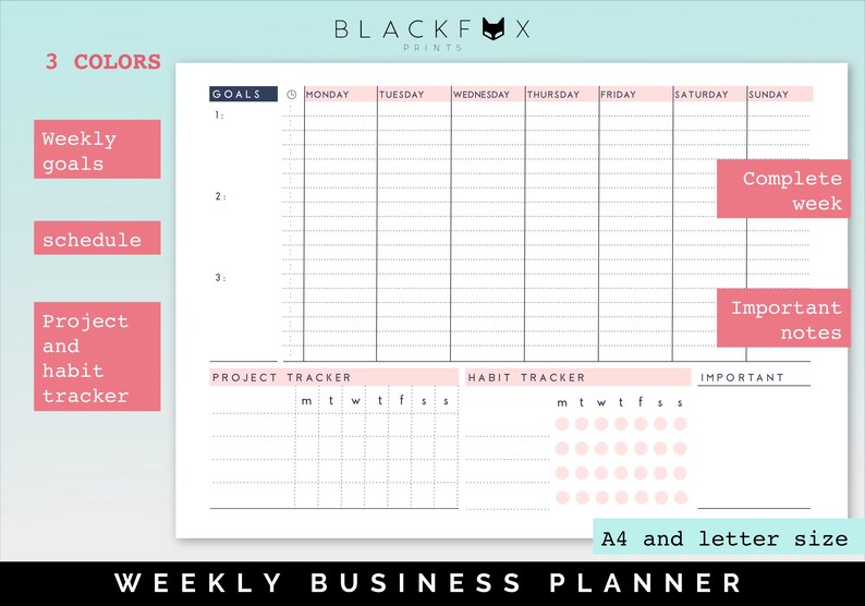 Boss Lady Planner Kit, Daily Weekly Planner Printable, Hourly Business ...