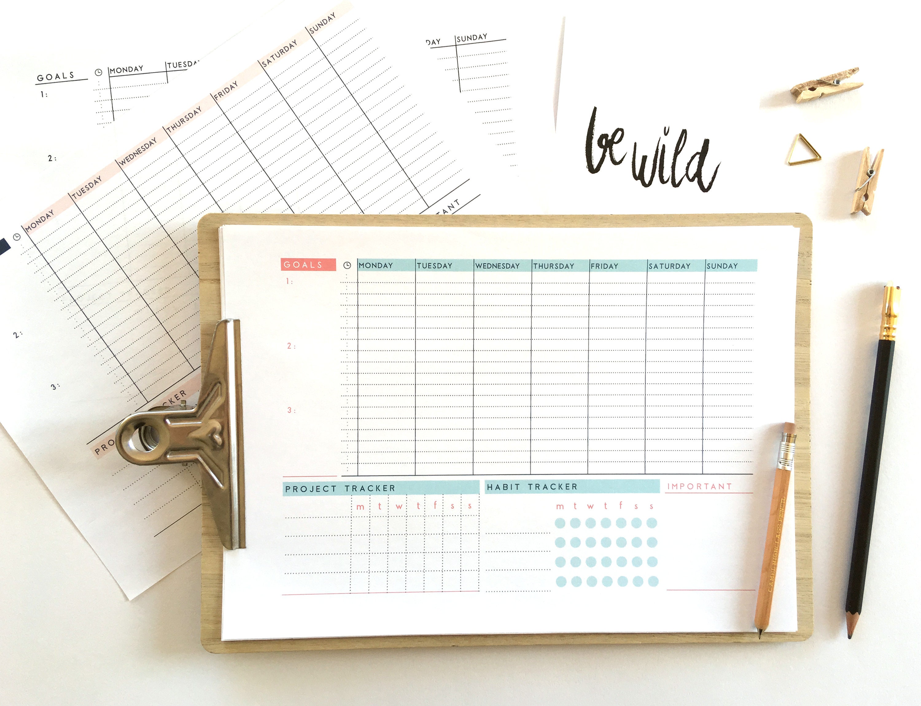 Boss Lady Planner Kit, Daily Weekly Planner Printable, Hourly Business ...