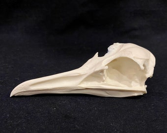 Seagull Replica | Etsy