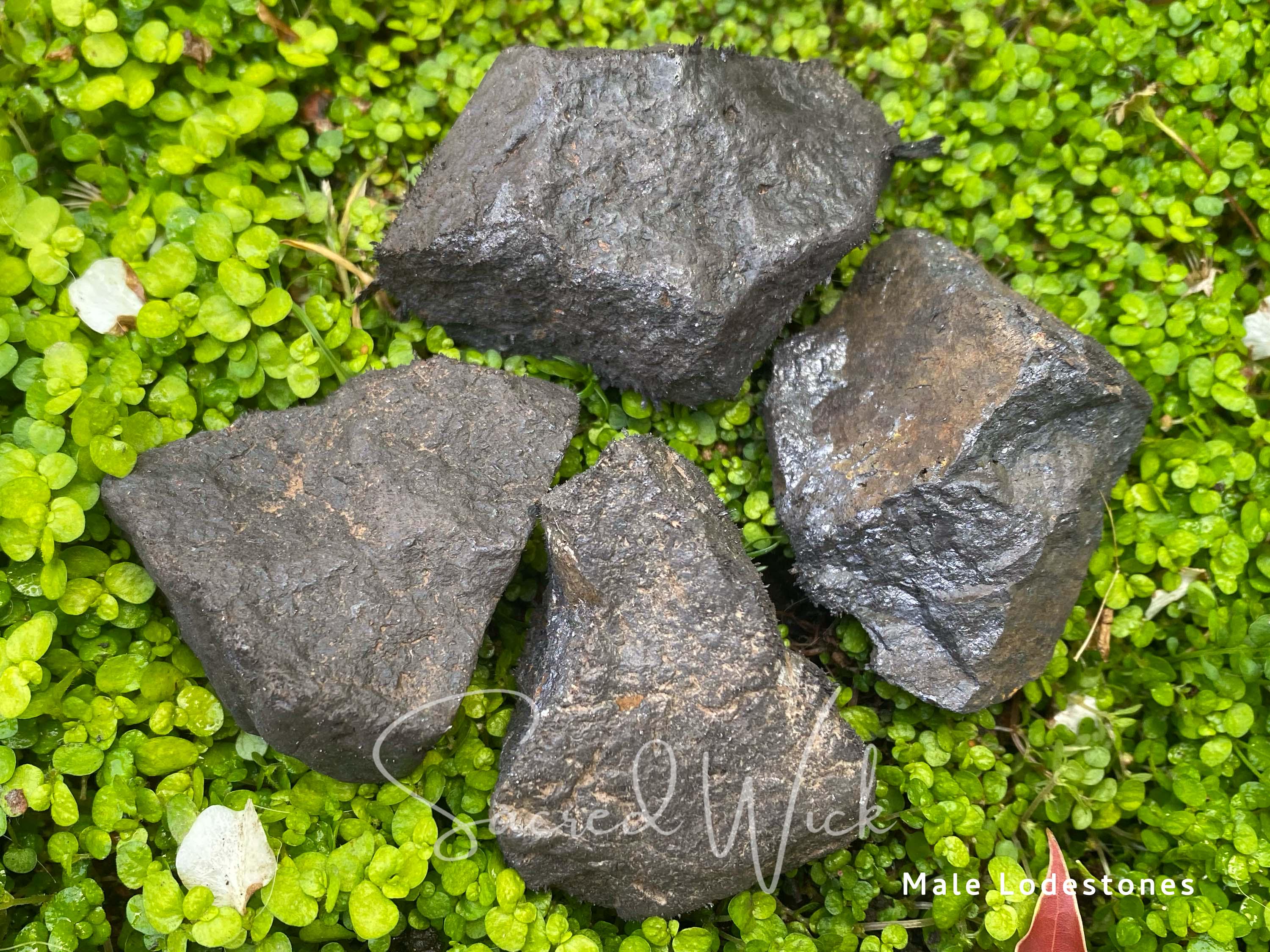 Large LODESTONE Magnetite – Choose Male, Female, or Matched Pair for ...