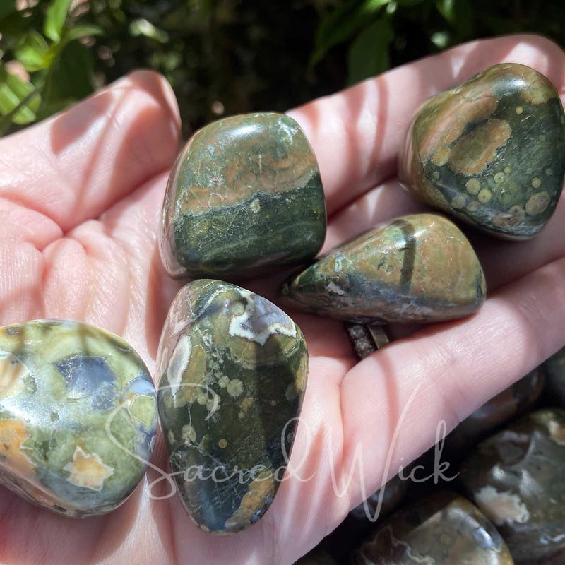 Jasper Rainforest - Etsy