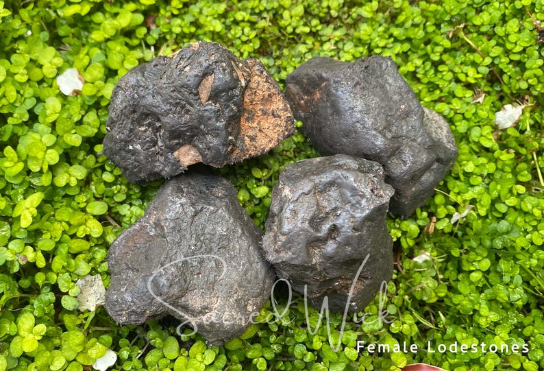 Large LODESTONE Magnetite – Choose Male, Female, or Matched Pair for ...