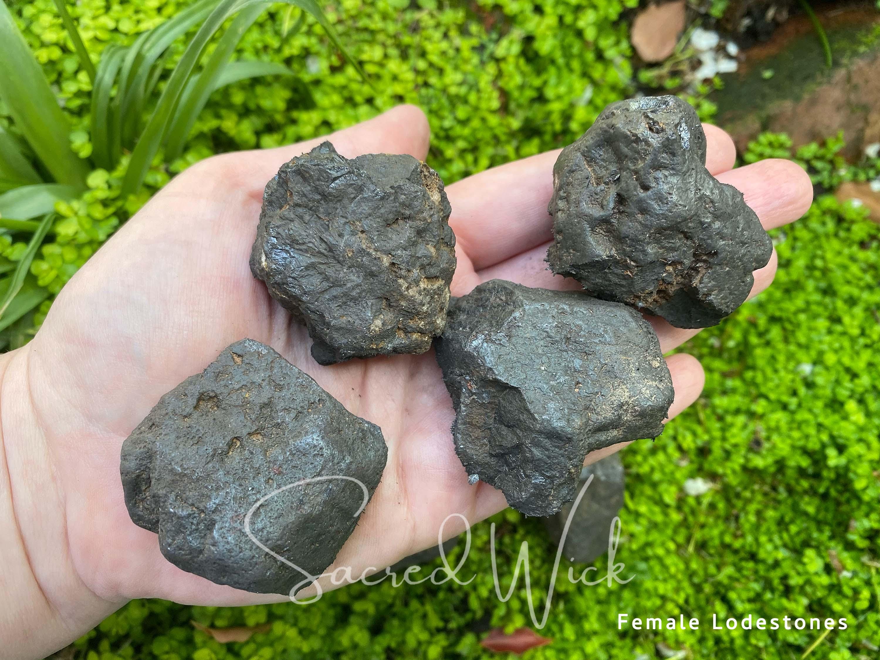 Large LODESTONE Magnetite – Choose Male, Female, or Matched Pair for ...
