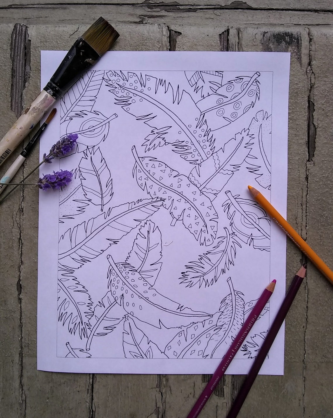 Feather Printable Coloring Page | Etsy