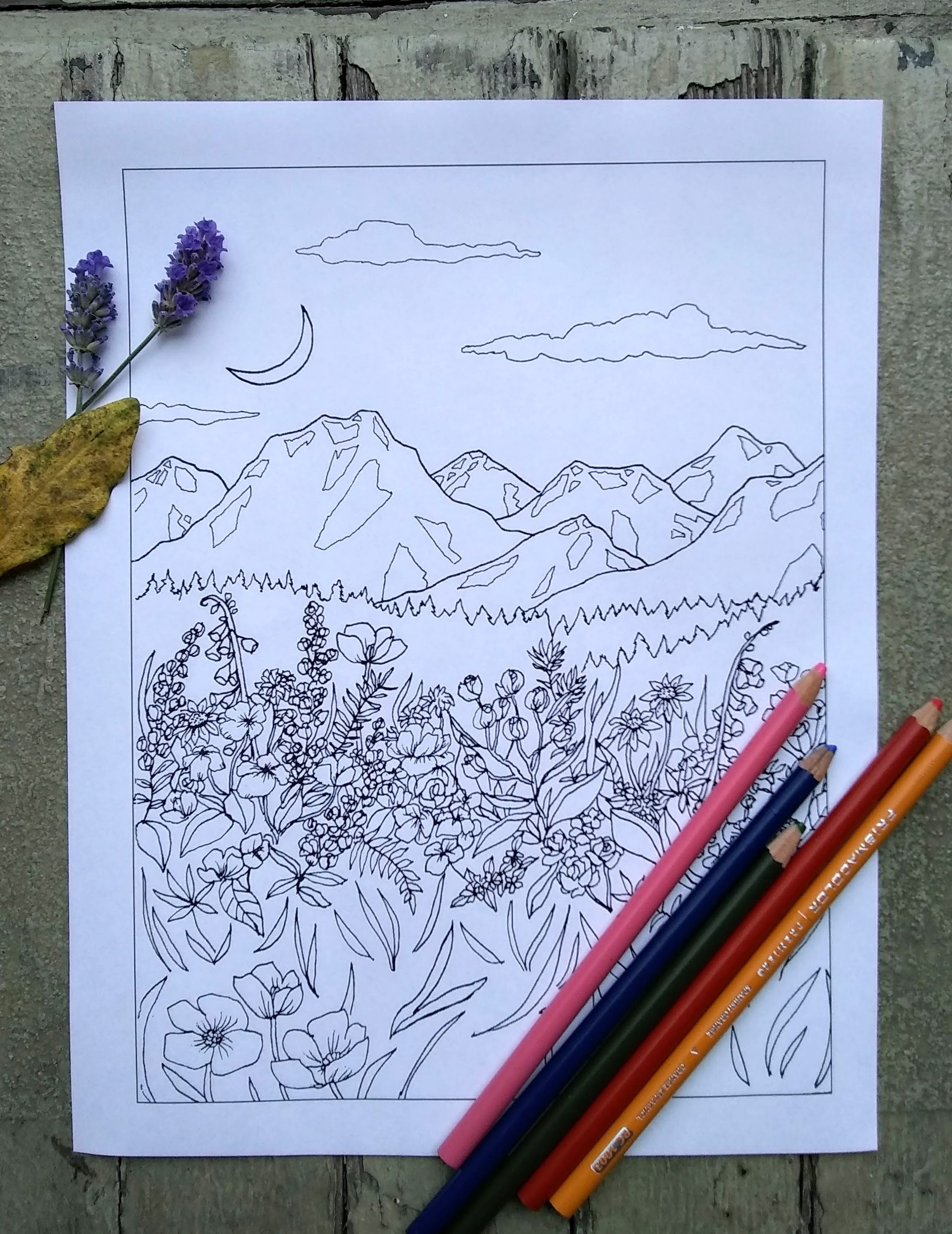 Pacific Northwest Mountains Printable Coloring Page | Etsy