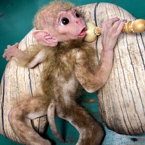 Full Body Silicone Baby Monkey Bibi in Super Soft Marshmallow Blend - Etsy