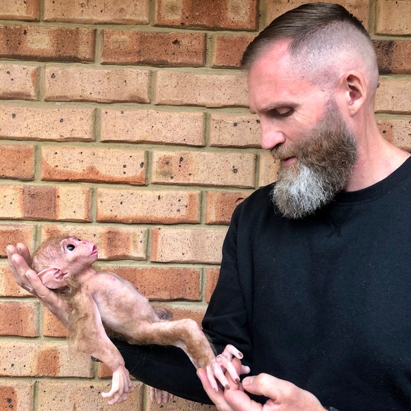 Mini Monkey Capuchin. Silicone - Etsy Canada