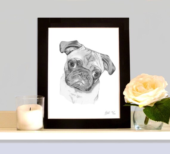 Pug Pencil Drawing Art Print Picture Limited Edition Wall Art | Etsy