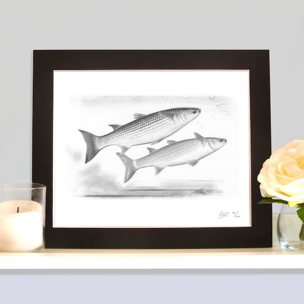 Mullet Art Print - Etsy