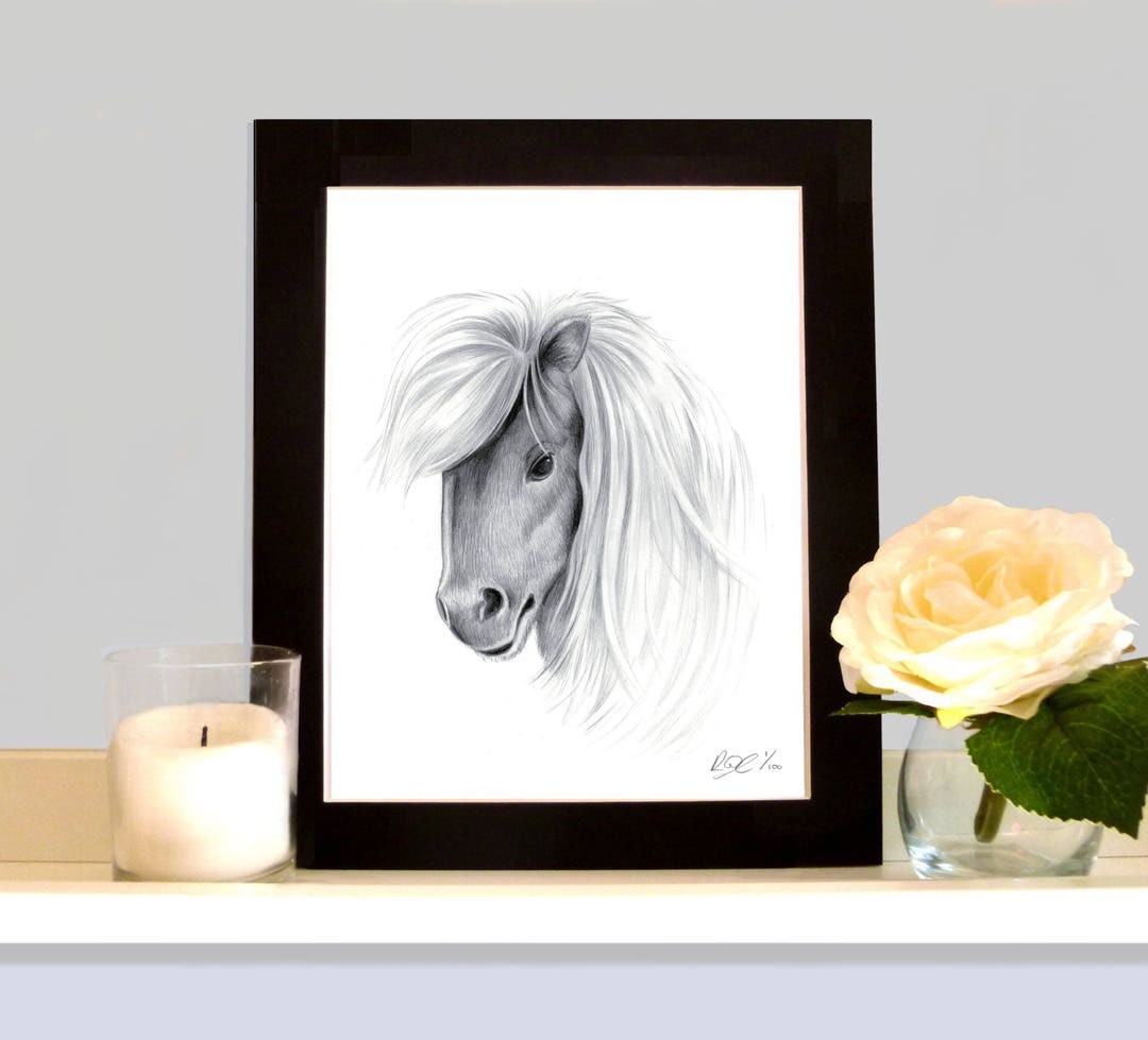 Shetland Pony Pencil Drawing Art Print Picture - Etsy