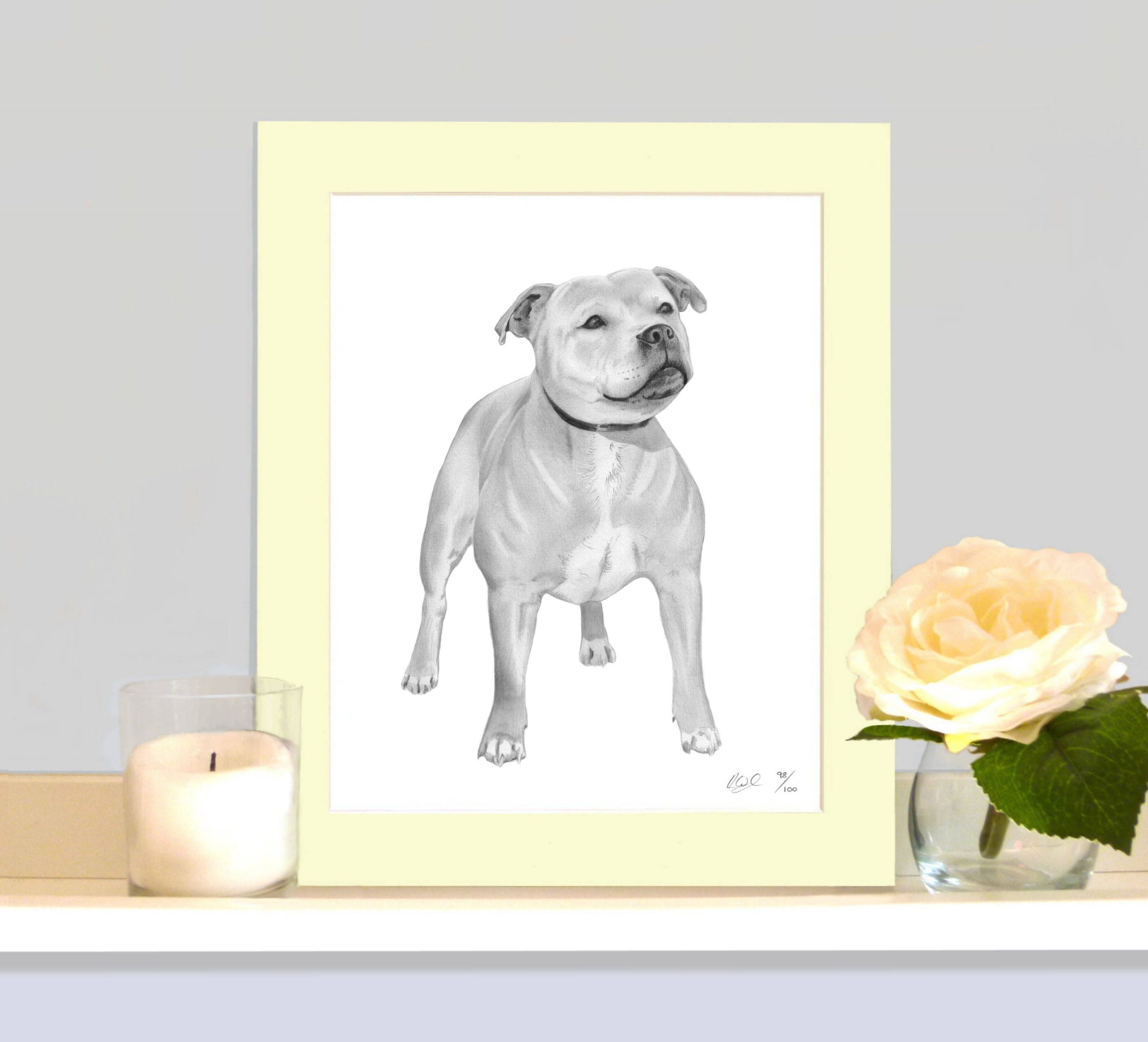 Staff Staffy Staffordshire Bull Terrier Pencil Drawing Art Print ...