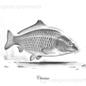 Clarissa the Carp From London Zoo and Redmire - Etsy