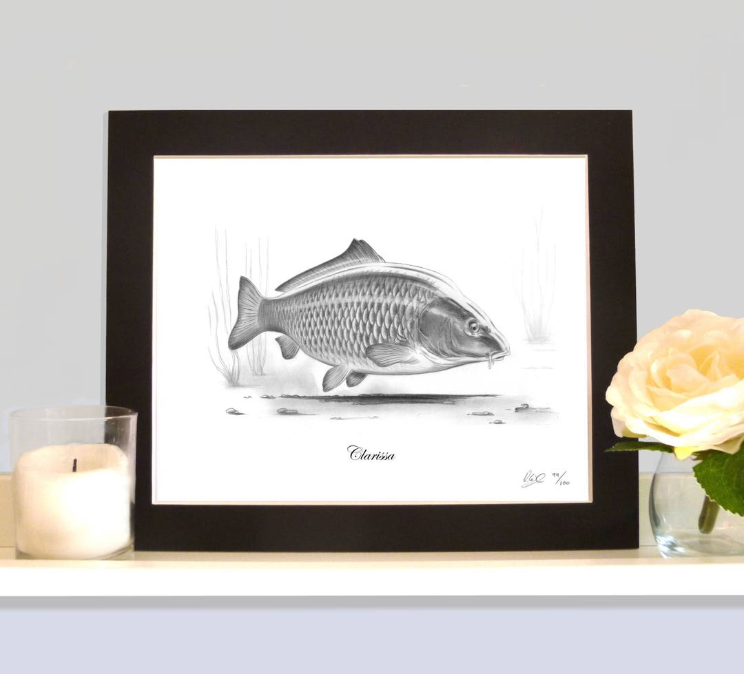 Clarissa the Carp From London Zoo and Redmire - Etsy