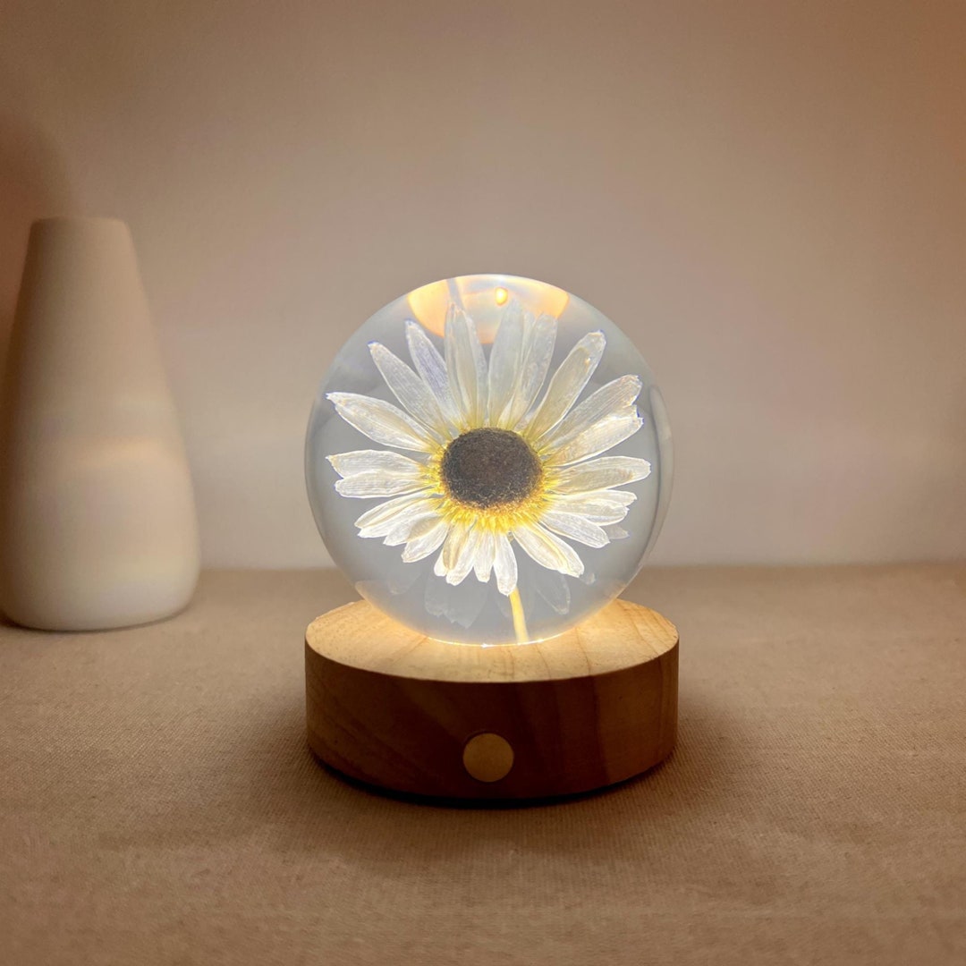 White Oxeye Daisy Resin Lamp, Dried Daisy Desk Lamp, Real Sunflower ...