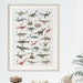 Dinosaurus Alphabet Adventure, Prehistoric ABC Poster 40x60cm ...
