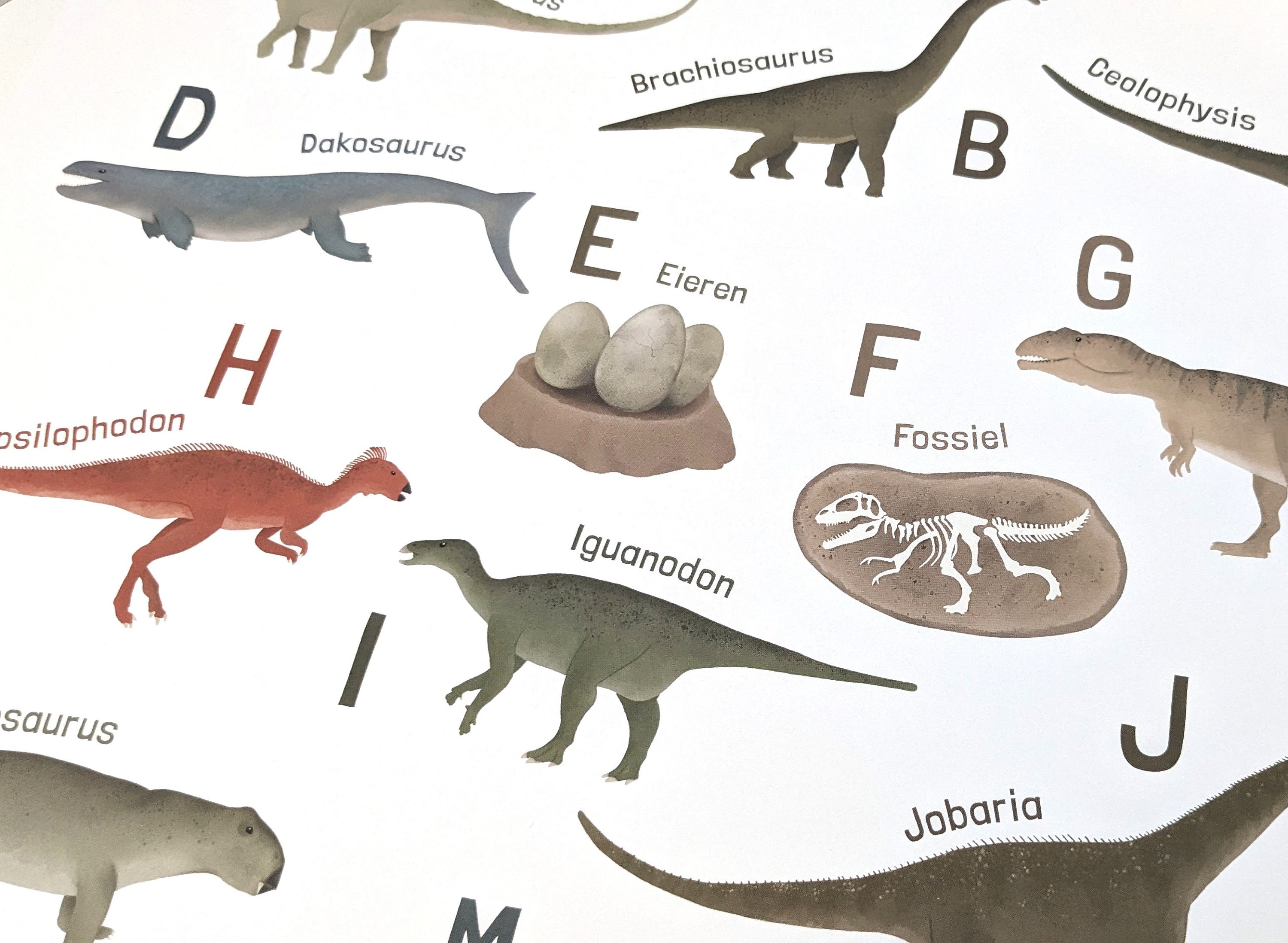 Dinosaurus Alphabet Adventure, Prehistoric ABC Poster 40x60cm ...