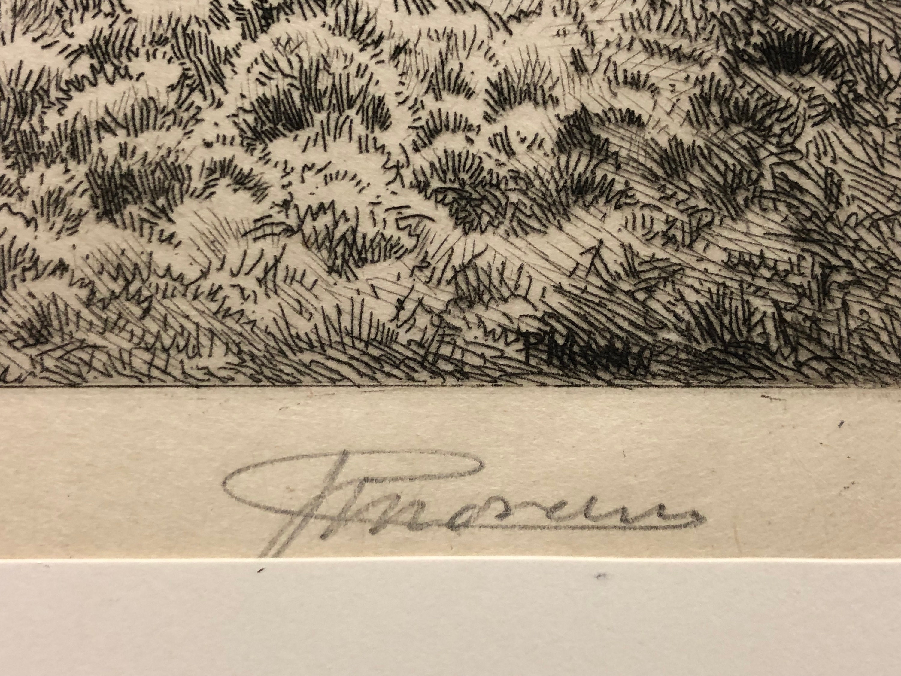 PETER MORAN american 1841-1914 the Edge of the - Etsy