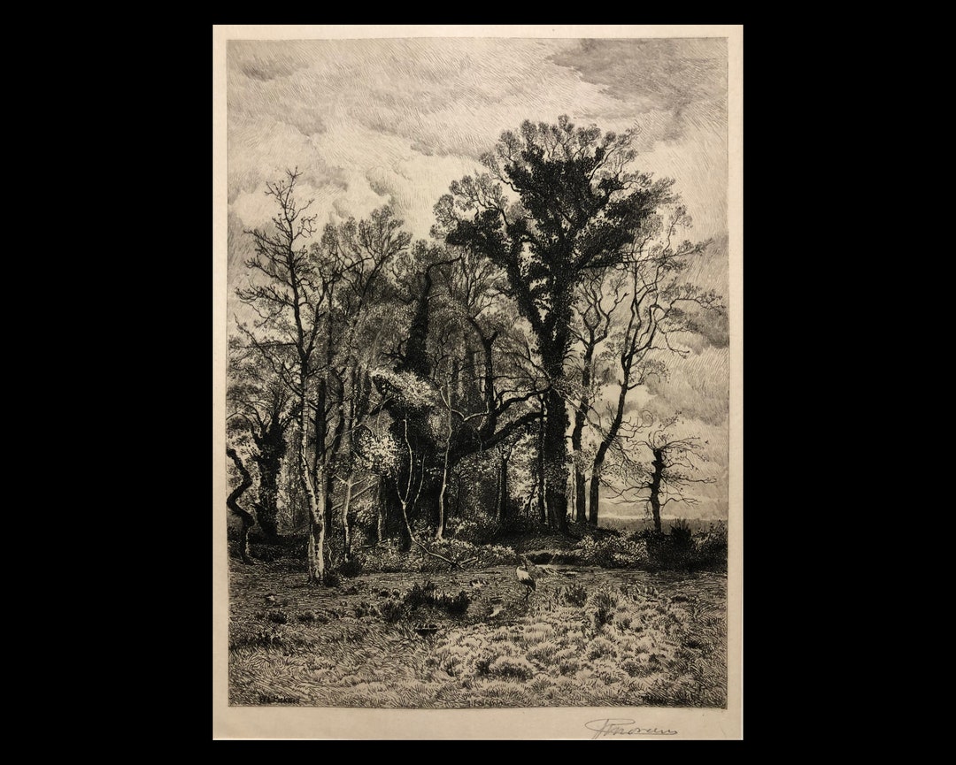 PETER MORAN (american, 1841-1914), "the Edge of the Swamp", 1886 ...