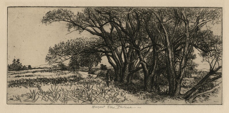 MAGARET ELDER PHILBRICK (american, 1914-1999), "willows Along the ...