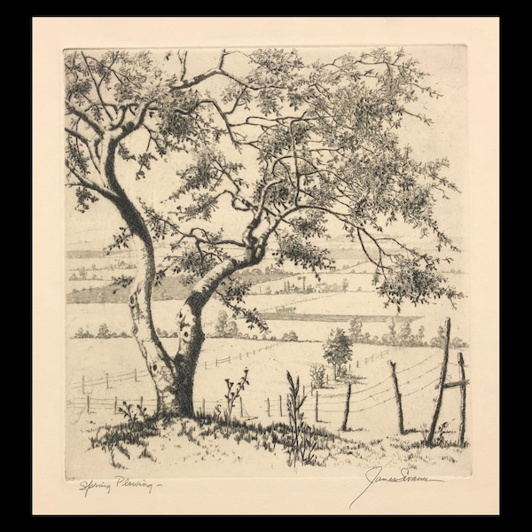 James Swann Art - Etsy