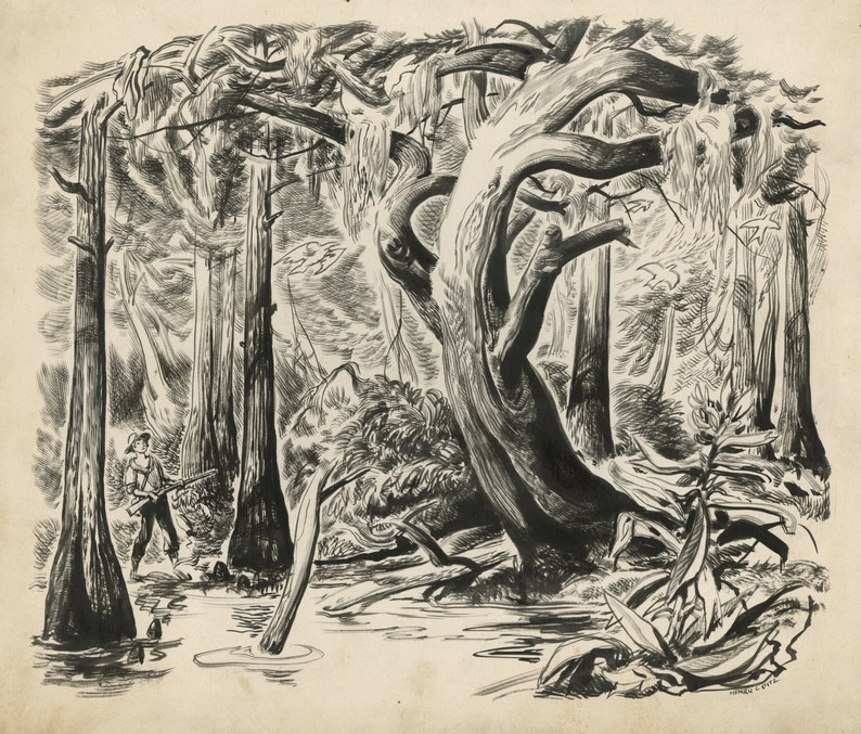 HENRY CLARENCE PITZ america, 1895-1976, in the Swamp, 1946, Pen & Ink ...