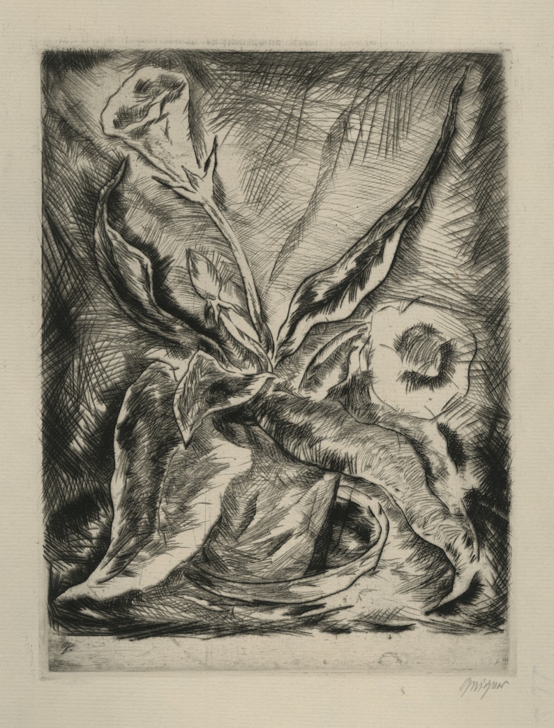WILLI GEIGER (german, 1878-1971), "bluten", 1922, Drypoint, Pencil ...