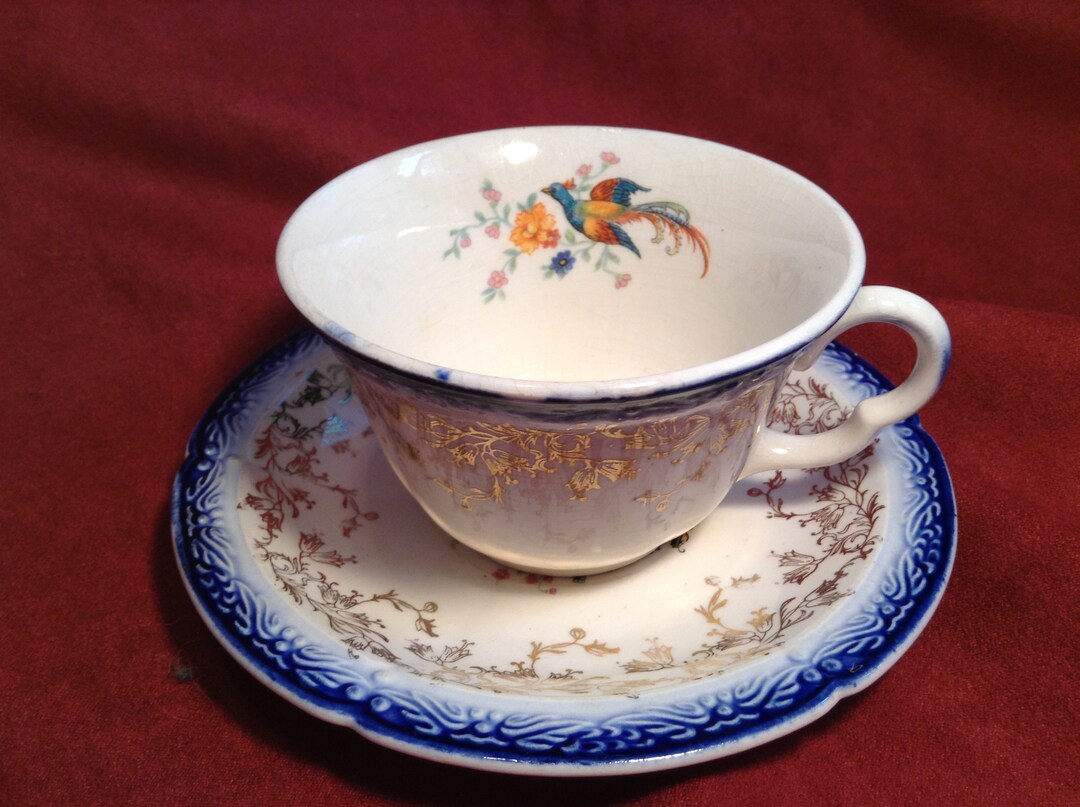 Flow Blue Cup & Saucer - Etsy