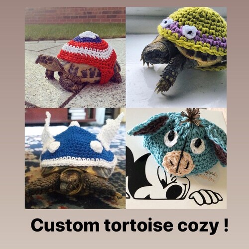 Tortoise Sweater Dinosaur Stegosaurus Cozy for Tortoises - Etsy