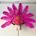 Samba Dance Ostrich Feather Backpack/carnival Costume Feather Wings ...