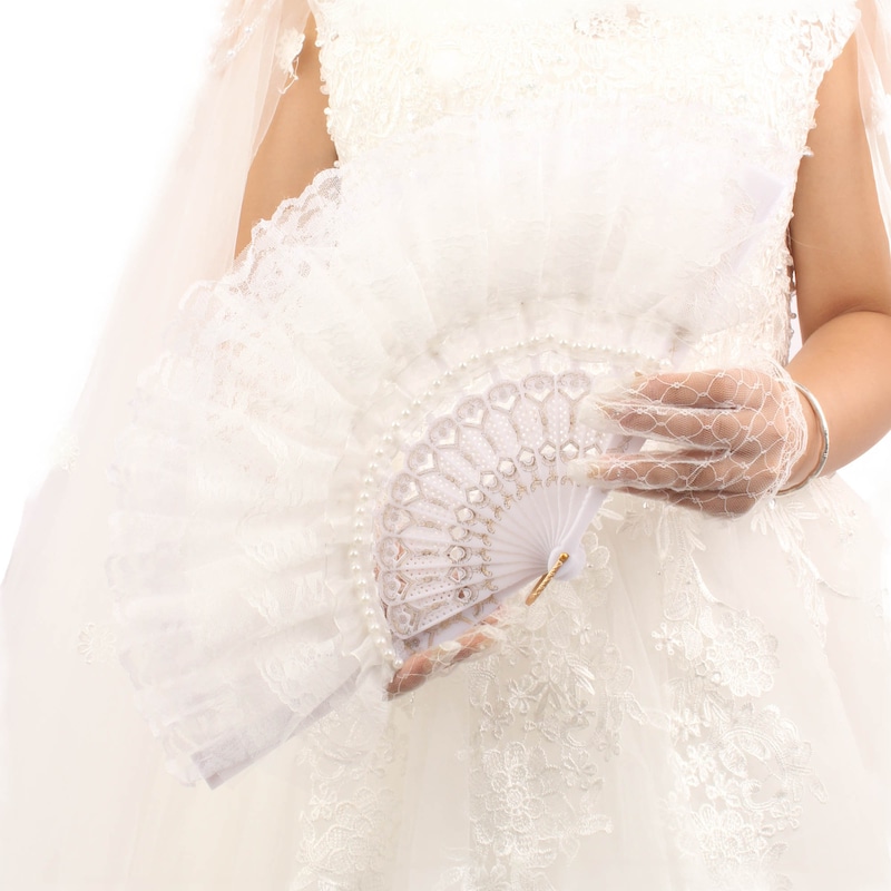Lace Hand Fan - Etsy