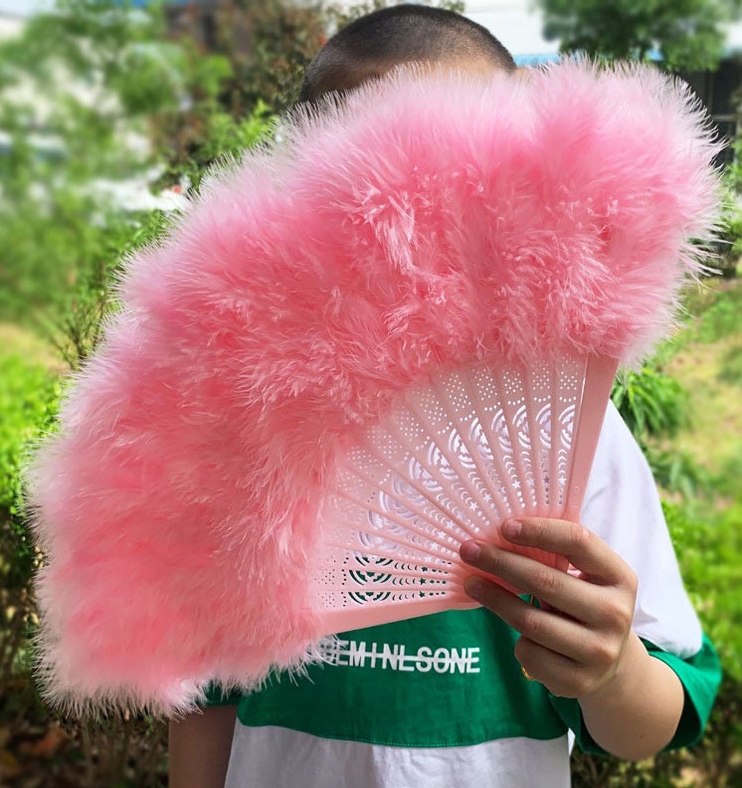 1610.8 Dream Purple and Pink Girl Feather Fan Kids Birthday Dance ...