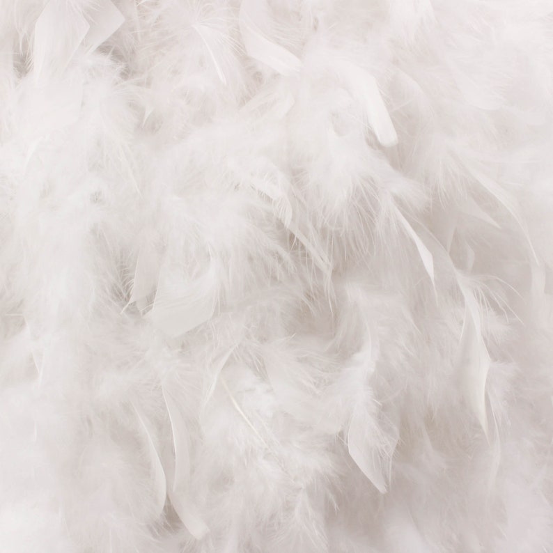 Simple Economical Feather Tail Fan Tail Back Bustle Boa Tutu Costume ...