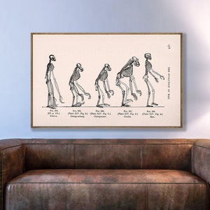 March of Progress, the Evolution of Man, From Ape Ancestors to Homo ...