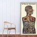 Vintage Poster the Body as a Machine, Iconic Infographic of the Human ...