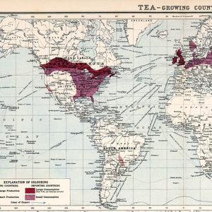 Vintage Tea Map of the World: Antique Style Tea Growing Regions - Etsy