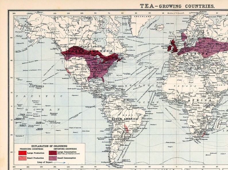 Tea Map of the World Tea Poster Map Tea Gifts Tea Wall Map | Etsy