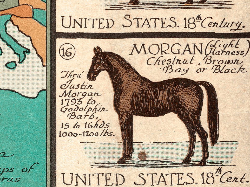 Horse Map of the World Horses Art Print Horses Poster | Etsy Canada