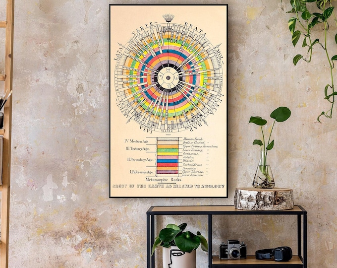 Phylogenetic Tree of Life Poster: Darwinian Evolution Art - Etsy Canada
