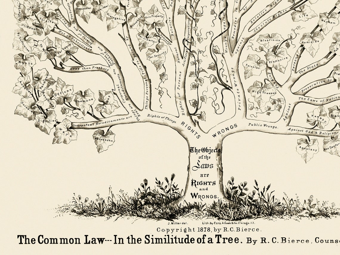 The Common Law Tree Chart Poster Ethics Morals Rights - Etsy