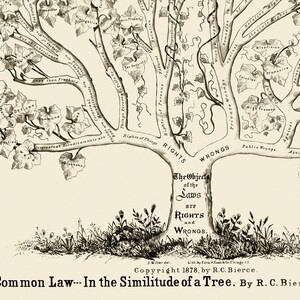 The Common Law Tree Chart Poster, Ethics, Morals, Rights, Wrongs, Wall ...