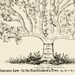 The Common Law Tree Chart Poster, Ethics, Morals, Rights, Wrongs, Wall ...