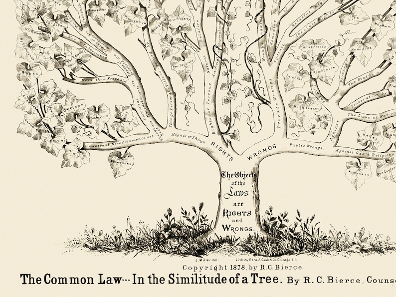 The Common Law Tree Chart Poster Ethics Morals Rights - Etsy