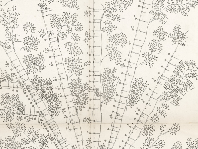 Historical Org Chart First Orgazitational Chart Org Diagram | Etsy
