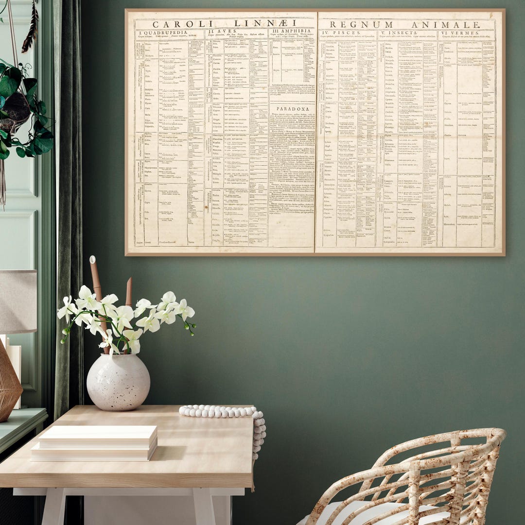 Carl Linnaeus Animal Kingdom Print: Natural History Decor, Landmark ...