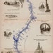 Vintage Volga River Illustrated Map, Volga Poster Print the National ...