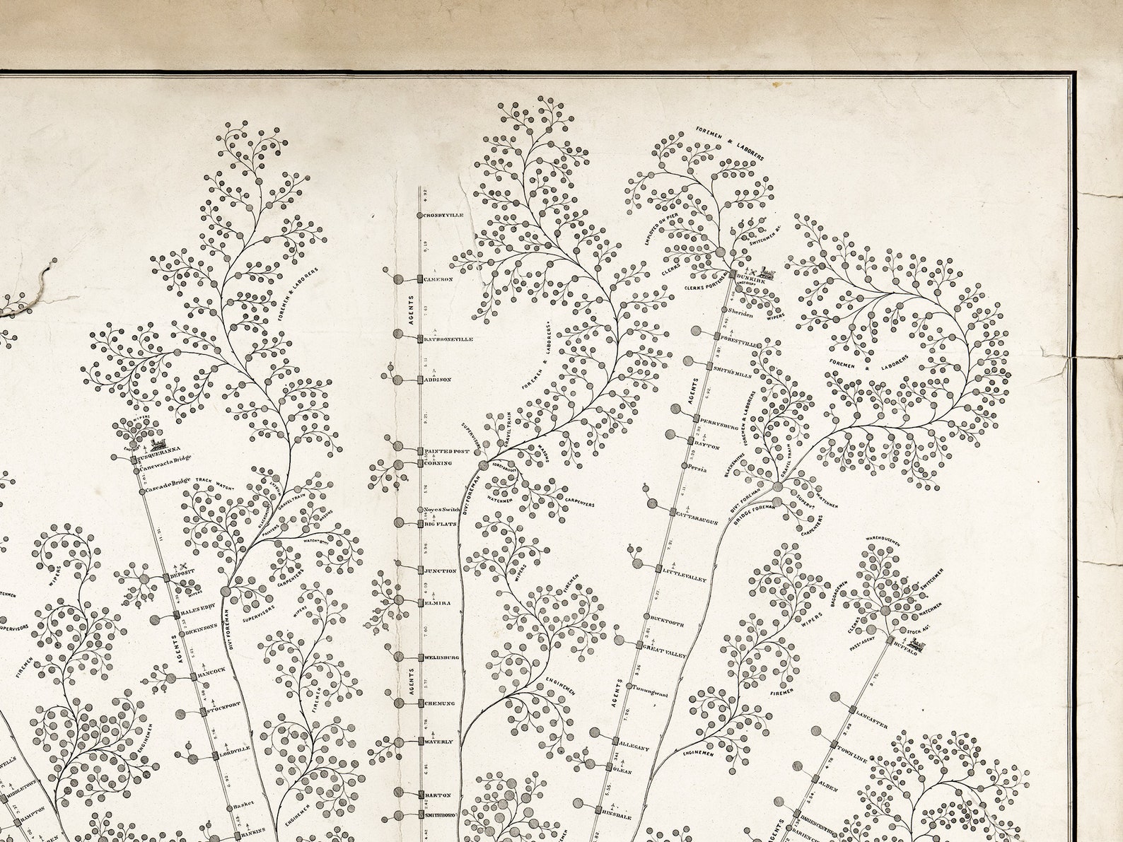 Historical Org Chart First Orgazitational Chart Org Diagram | Etsy