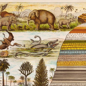 Geology Poster Showing Geological Eras and Periods With the Rock Strata ...