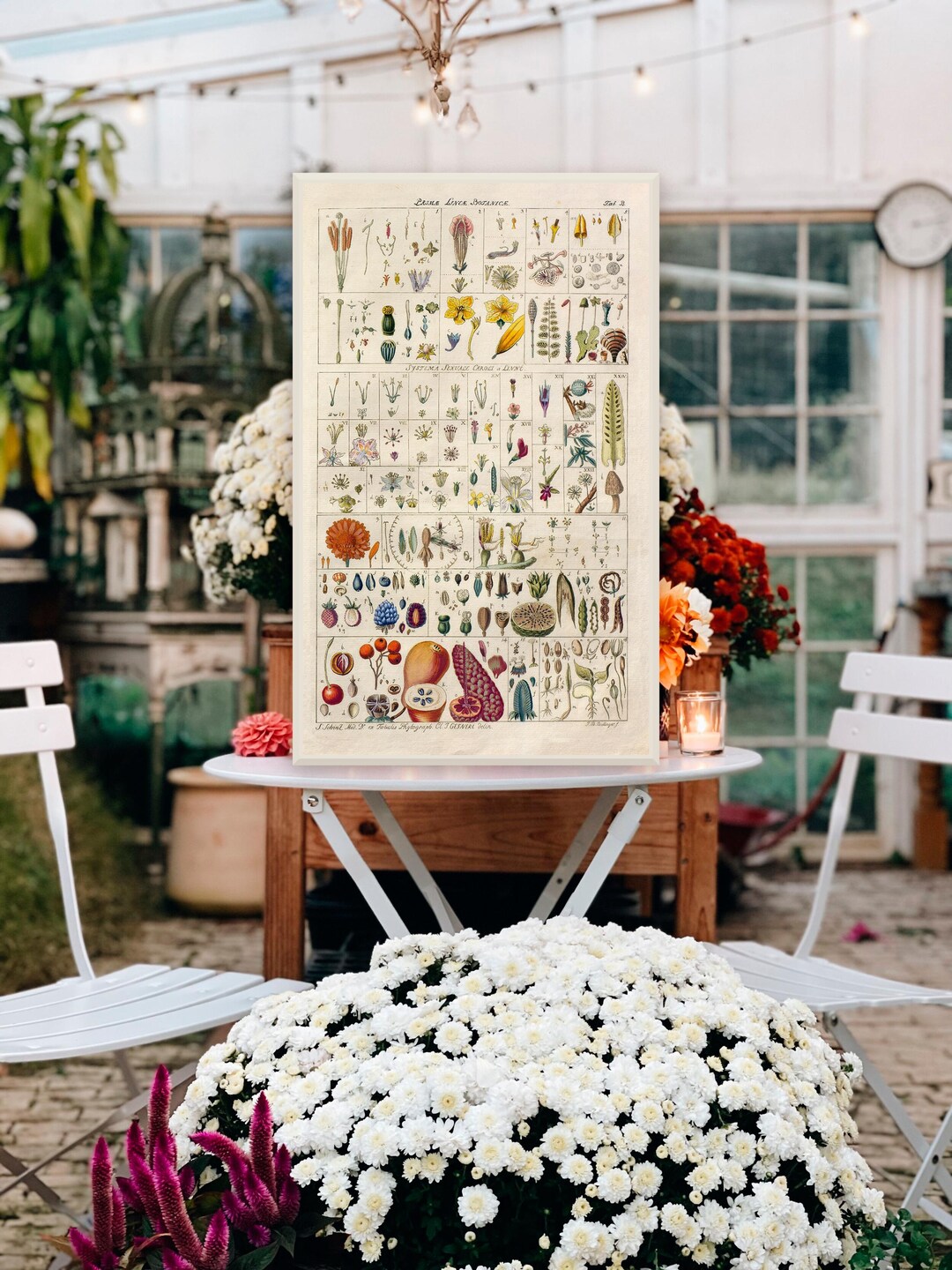 Plants Wall Art, Botany Poster Print, Garden Decor, Sunroom Decorating ...